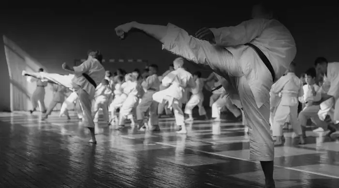 Karate: origins, principles, styles, rules and techniques