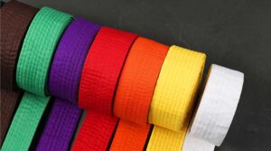 Karate: origins, principles, styles, rules and techniques