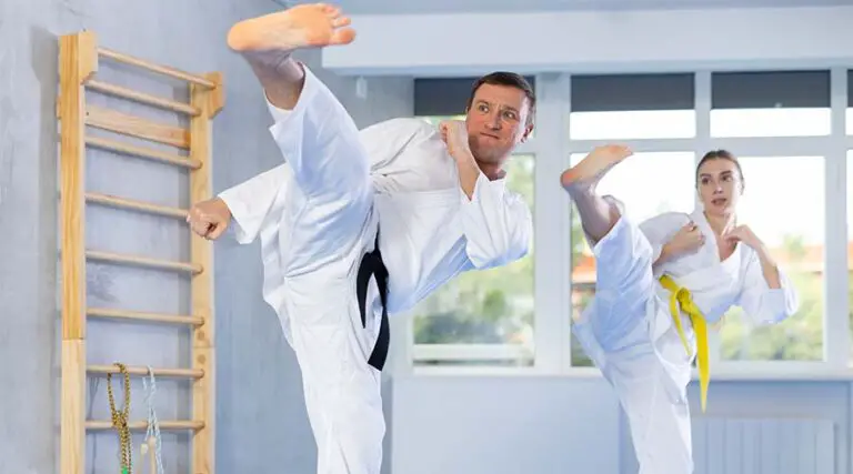 Karate: origins, principles, styles, rules and techniques