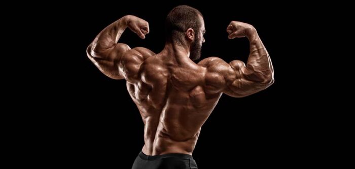 Bodybuilding: history, divisions, rules and tournaments