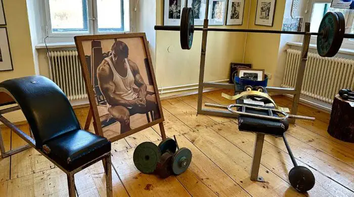 Bodybuilding: history, divisions, rules and tournaments