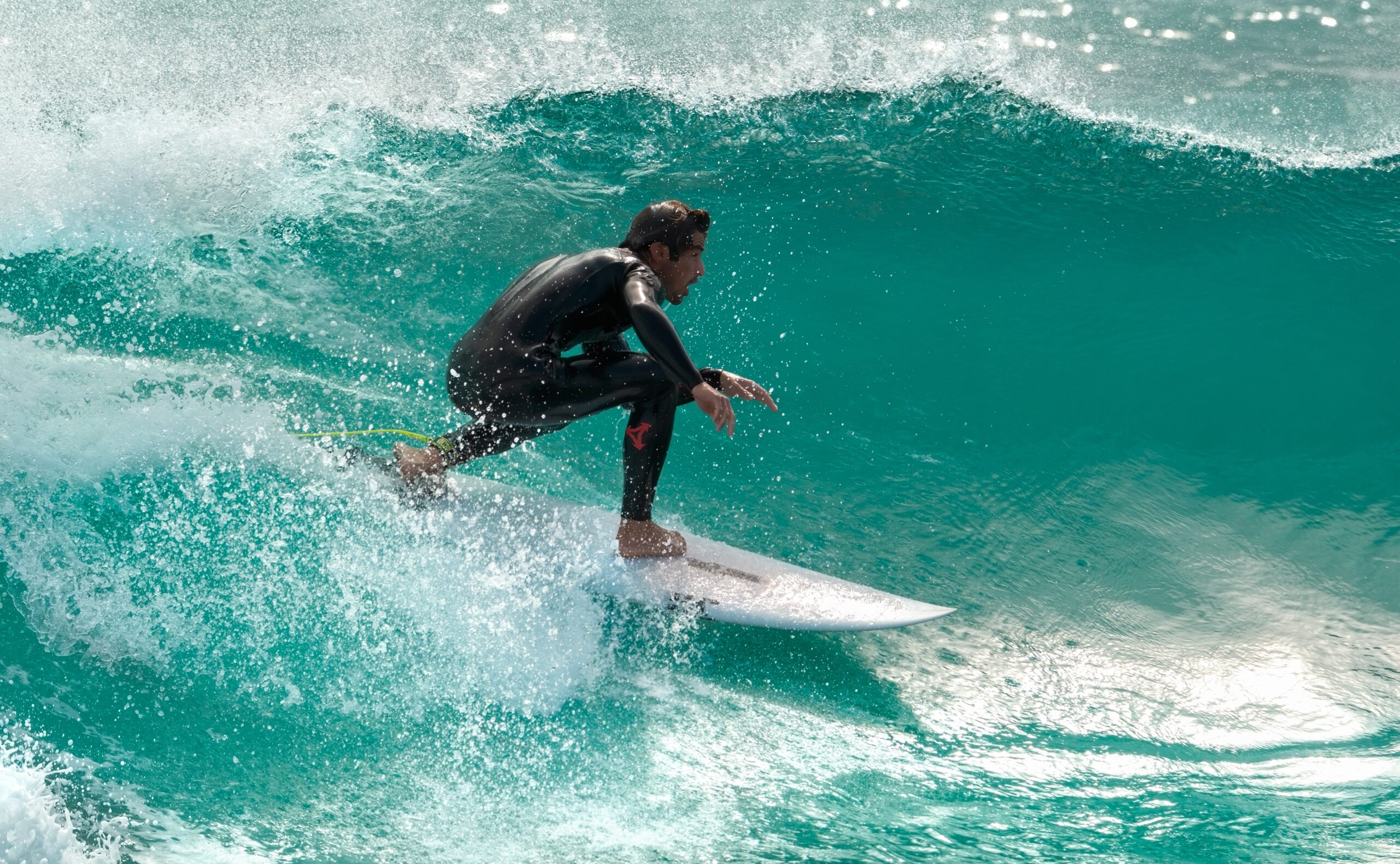 50 frases de surf para inspirarte