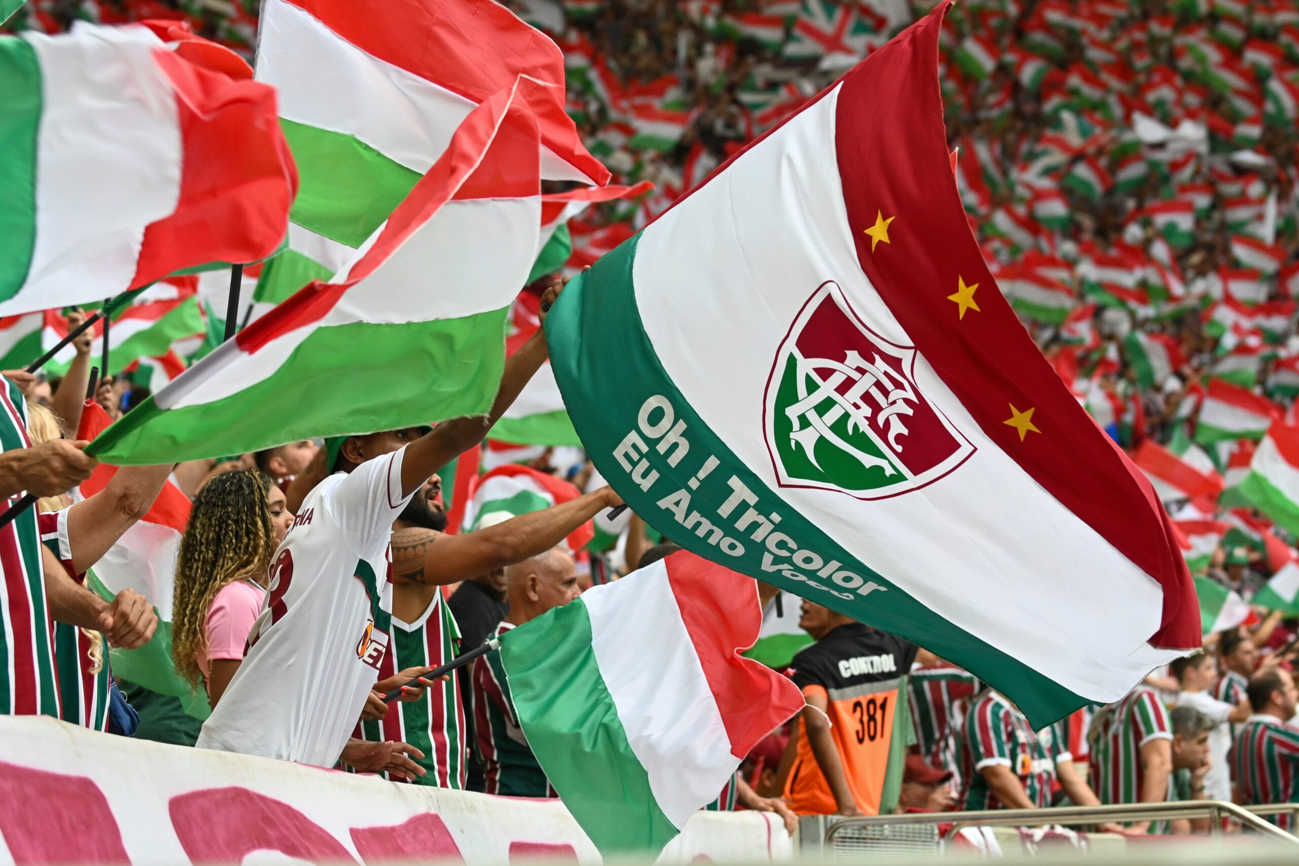 Meet the 15 best goalkeepers in Fluminense's history!