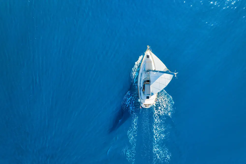 Brazil's 20 best current sailing athletes