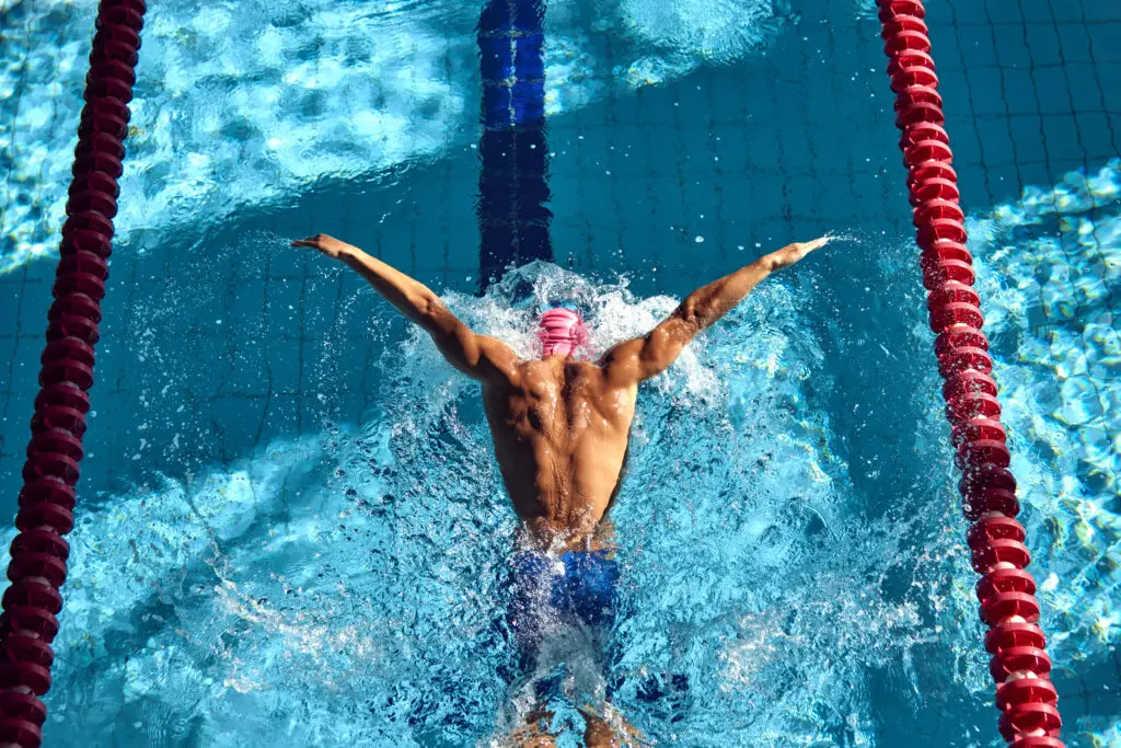 Reyes de la piscina: los mejores nadadores del mundo actual